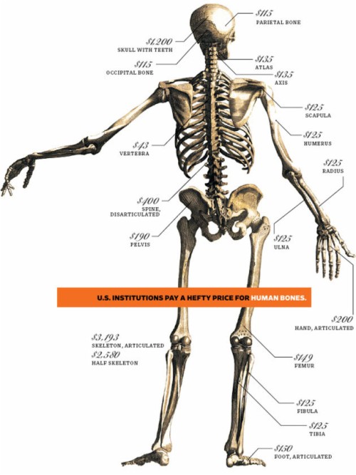 Clean Bones Please Â€“ Exit Only (#1027578) - HD Wallpaper ...