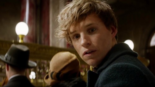 Download Original Resolution - Newt Scamander (#1038855) - HD Wallpaper ...