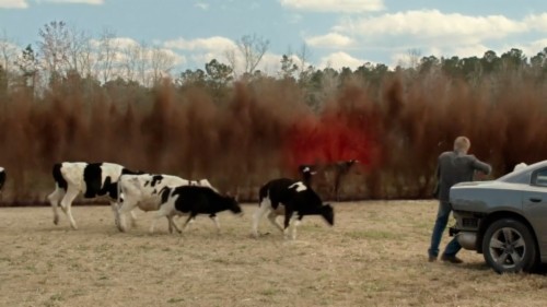 Dome (#1597175) - HD Wallpaper & Backgrounds Download