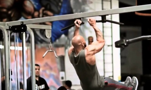 Ct Fletcher Workout Routines Photo - Panda Bodybuilding (#1089097) - HD ...