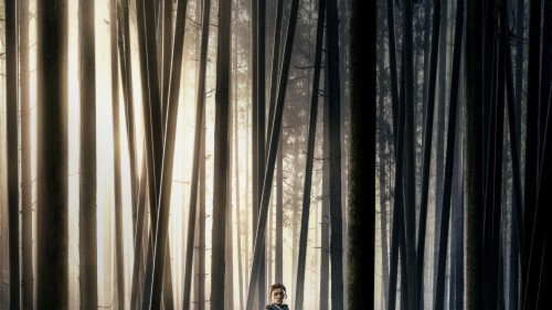 Taron Egerton Going Bald (#1112318) - HD Wallpaper & Backgrounds Download