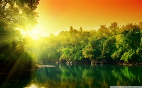 Wide 16 - - Amazon Rainforest Hd (#1169658) - HD Wallpaper ...
