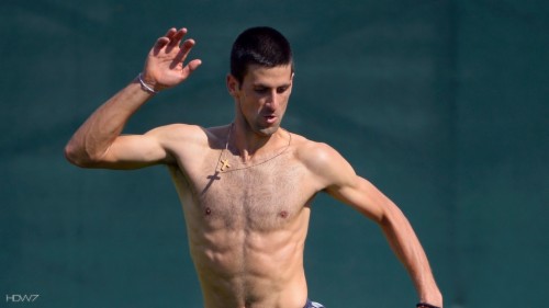 Novak Djokovic (#1171246) - HD Wallpaper & Backgrounds Download