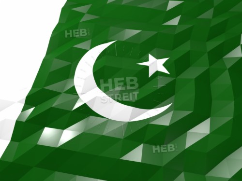 Flag Of Pakistan 3d Wallpaper Illustration - Crescent (#1179726) - HD ...