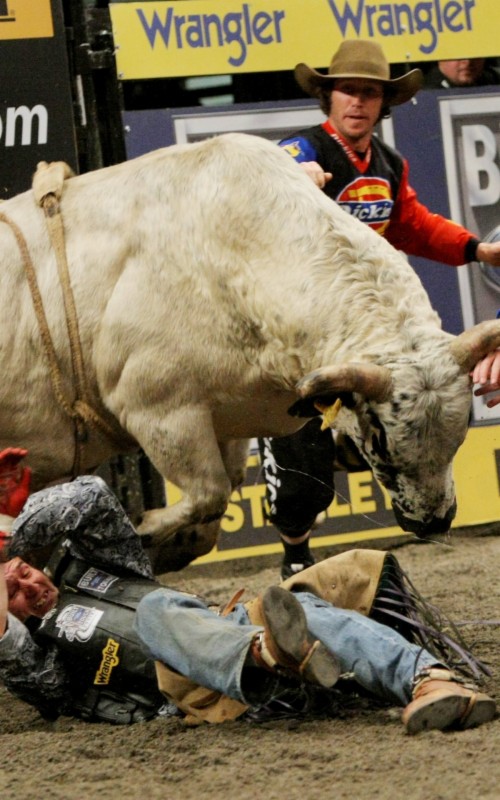 Bull Riding The Most Dangerous Sport (#1184489) - HD Wallpaper ...
