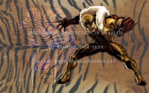Sabertooth - Sabertooth Marvel (#1217628) - HD Wallpaper & Backgrounds ...