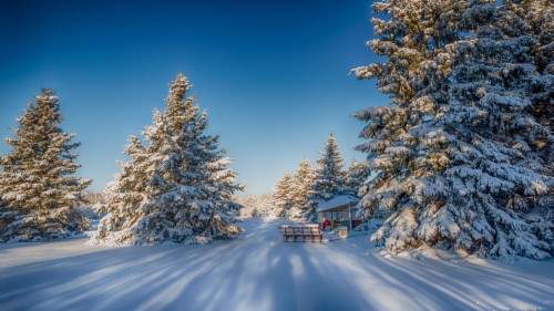 Hiver (#1221403) - HD Wallpaper & Backgrounds Download