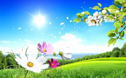 Spring Images Desktop Wallpaper With High-resolution - High Resolution ...