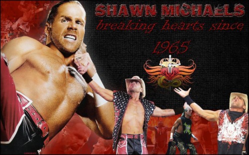 Michaels Wallpapers - Shawn Michaels (#1229973) - HD Wallpaper ...