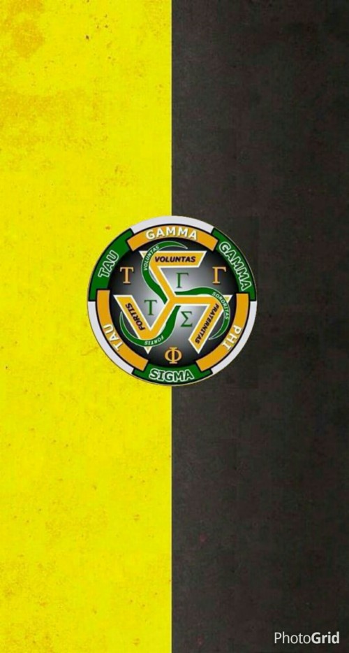 Flying High Sky Aircraft - Triskelion (#1264379) - HD Wallpaper ...