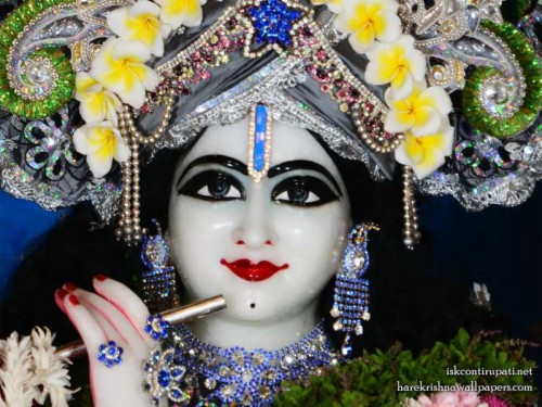 Iskcon Vrindavan Krishna Balram (#178081) - HD Wallpaper & Backgrounds ...