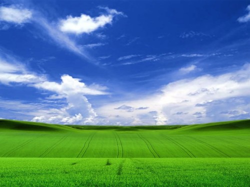 Landscape, Windows Xp, Bliss Wallpapers Hd / Desktop - Field (#482208 ...