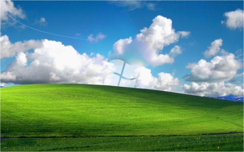 Bliss Animated - Windows Xp (#134847) - HD Wallpaper & Backgrounds Download