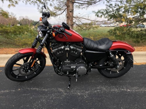 2019 Harley-davidson Iron 883 In Forsyth, Illinois - Harley Davidson ...
