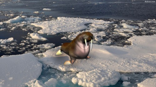 Natural Phenomenons In Russia (#1307897) - HD Wallpaper & Backgrounds ...