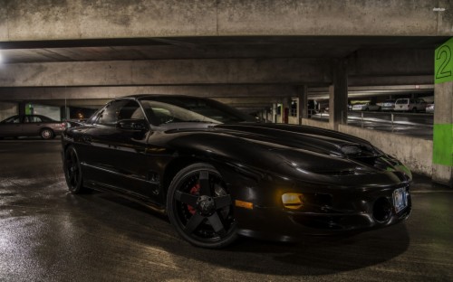 Pontiac Firebird Trans Am Wallpaper - Trans Am Wall Paper (#1314177 ...