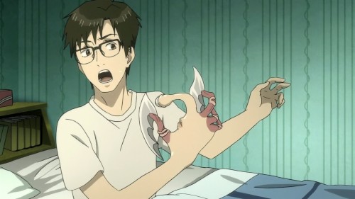 Kiseijuu - Anime (#1323436) - HD Wallpaper & Backgrounds Download