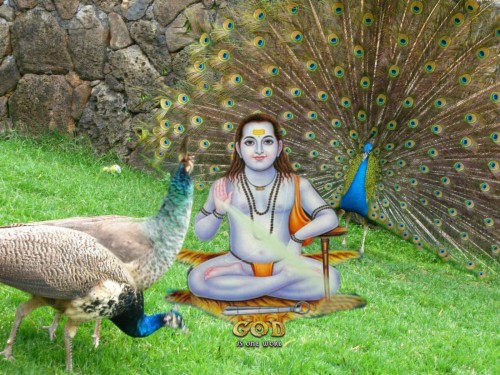 Baba Balak Nath Ji Wallpaper Hd Photo Download - Baba Balak Nath Ji Hd ...