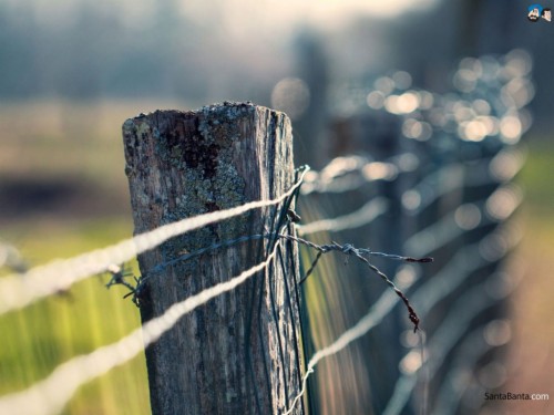 Barbed Wire - Wallpaper (#1107716) - HD Wallpaper & Backgrounds Download