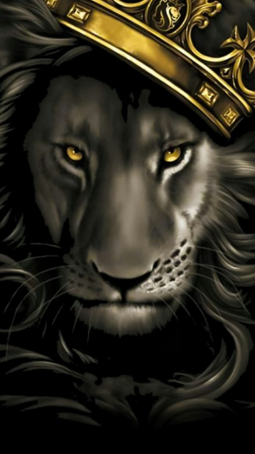 Black And Gold Lion (#1361632) - HD Wallpaper & Backgrounds Download