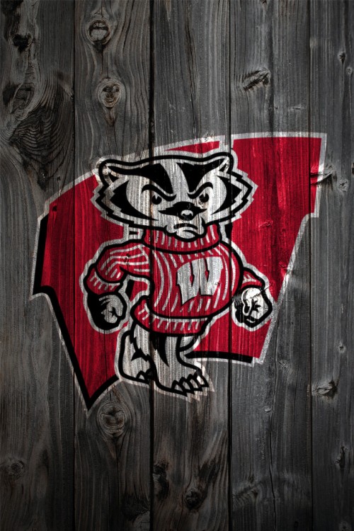 Wisconsin Badgers Wallpaper (#1370021) - HD Wallpaper & Backgrounds ...