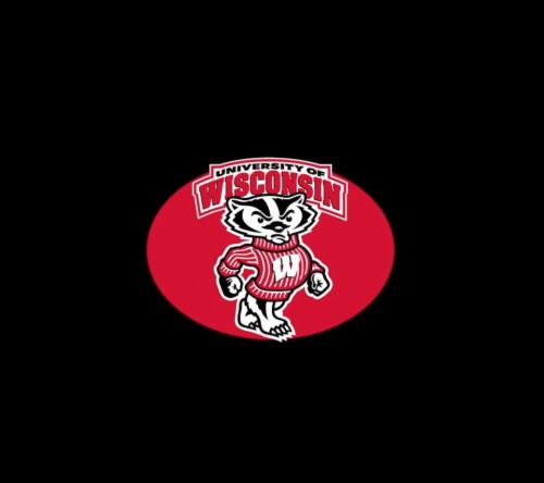 Wisconsin Badgers Logo (#1369983) - HD Wallpaper & Backgrounds Download