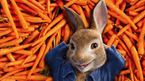 Peter Rabbit Hd (#1373255) - HD Wallpaper & Backgrounds Download