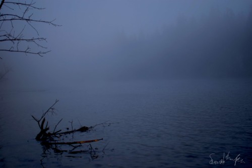 River, Solitude 4k Wallpaper And Background - Mist (#1386275) - HD ...