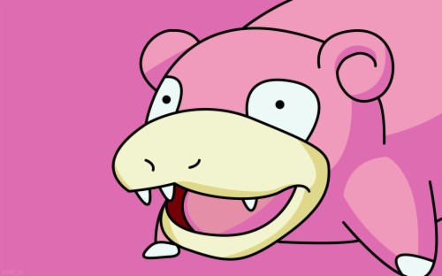 Slowpoke Wallpapers - Slowpoke Cat (#1399676) - HD Wallpaper ...