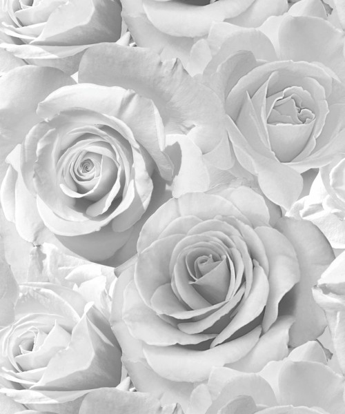 Muriva Madison Glitter Silver Wallpaper - Glitter Roses (#143140) - HD ...