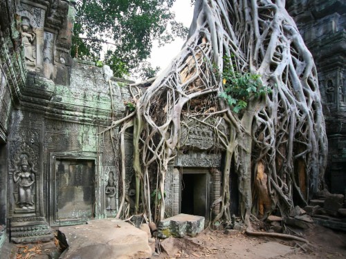 Ta Prohm (#1433833) - HD Wallpaper & Backgrounds Download