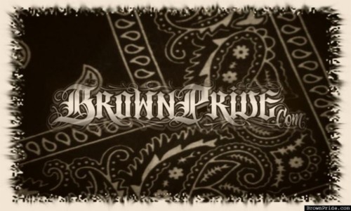 Brown Pride Wallpaper 382885 - Brown Pride (#1473125) - HD Wallpaper ...