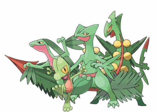 View Treecko Evo , (#1475917) - HD Wallpaper & Backgrounds Download