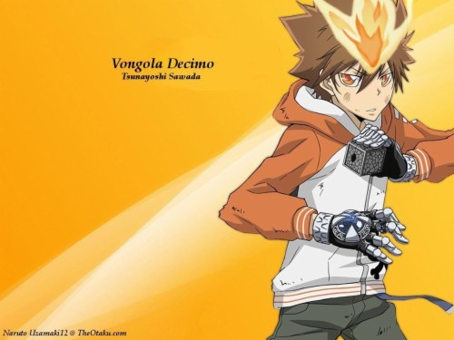 Tsunayoshi Sawada Wallpaper And Background - Sawada Tsunayoshi Xx ...