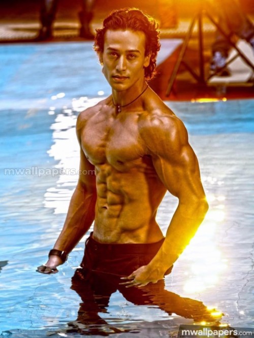 Tiger Shroff Six Pack Wallpaper - Gym Body Tiger Shroff (#160471) - HD ...