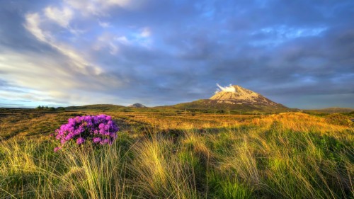Wallpaper - Ireland Prairie (#1541381) - HD Wallpaper & Backgrounds ...