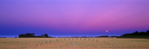 Free Wallpaper Size 1440px - Wheat Fields In Saskatchewan (#1541500 ...