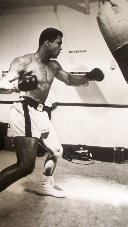 Ali Kickboxing, Champs, Mohamed Ali, Muhammad Ali Wallpaper, - Muhammad ...
