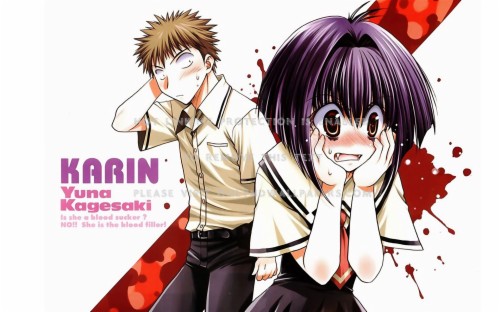 Karin - Karin Chibi Vampire Ecchi (#1550478) - HD Wallpaper ...