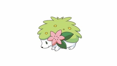 Pokemon Wallpapers - Pokemon Shaymin (#1553028) - HD Wallpaper ...