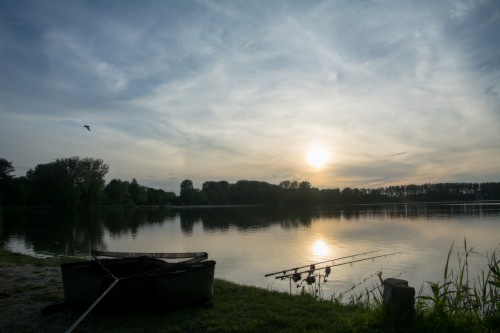 Similar Photos - Carp Fishing Wallpaper Hd (#1599679) - HD Wallpaper ...