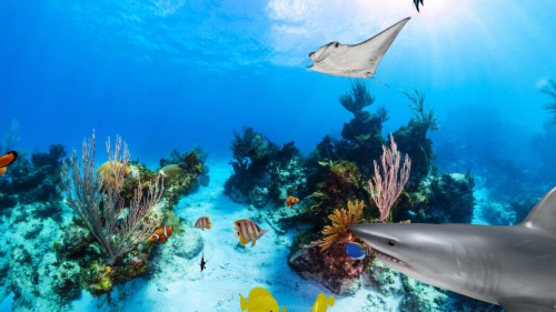 360 Wallpaper Gallery - 360 Degree (#163422) - HD Wallpaper ...