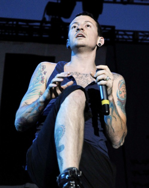 Chester Wallpaper - Poster (#168478) - HD Wallpaper & Backgrounds Download