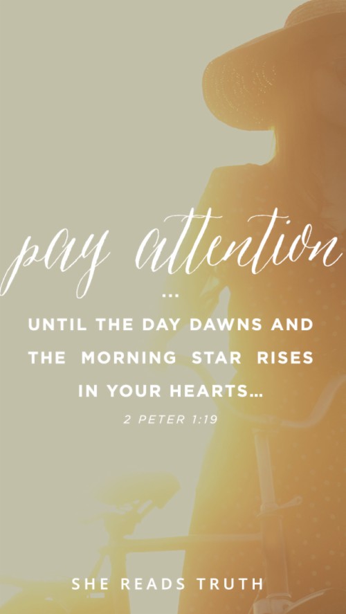 She Reads Truth Wallpaper For Laptop - Maybe You Have Been Assigned ...