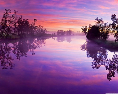 Download Purple Nature Wallpaper - Purple Color On Itl.cat