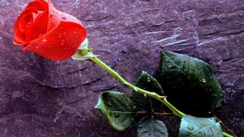 Sooo Happy Song Osu (#2224949) - HD Wallpaper & Backgrounds Download