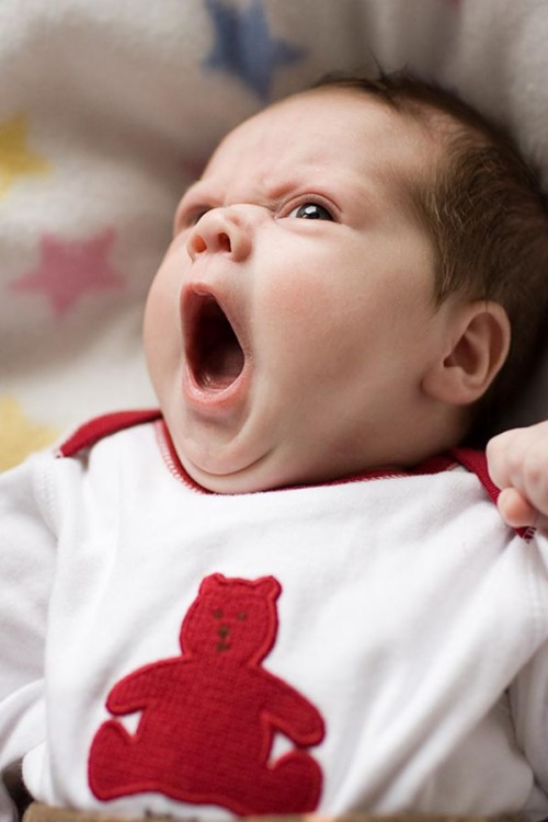 Cutie Pie, Cutie Pie Wallpapers, Cutie Pie Pictures, - Terry Fox As A ...