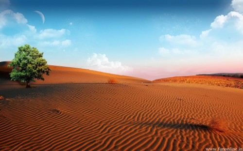 Sandy Desert Wallpaper (#1728734) - HD Wallpaper & Backgrounds Download