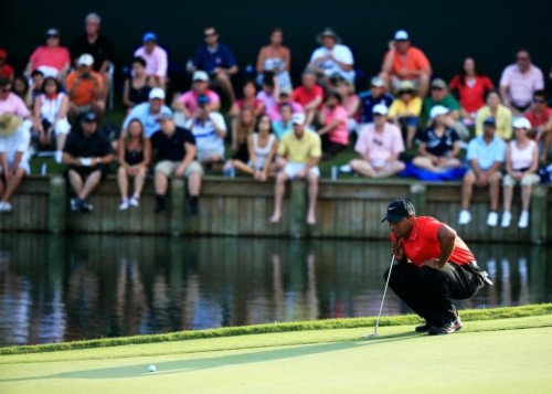 Tiger Woods Wallpaper Tiger Woods Wallpapers Tiger - Player (#1796358 ...