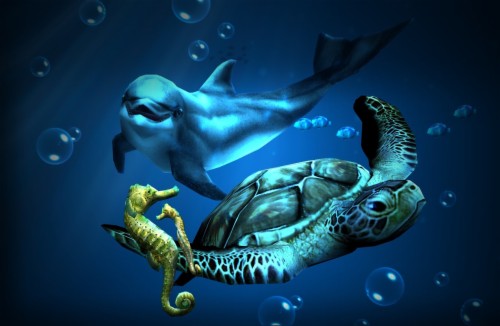 2018 Wallpaper - Dolphin And Sea Turtle (#187748) - HD Wallpaper ...
